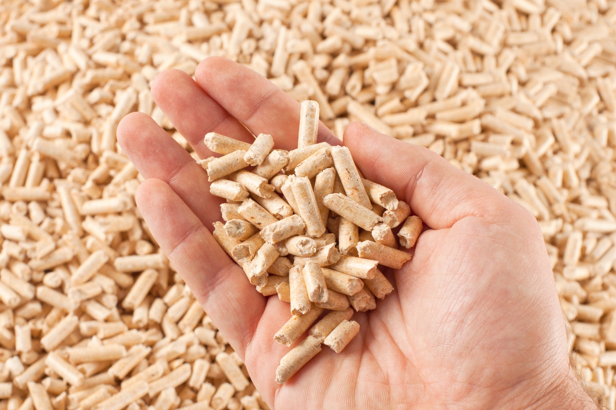 The Importance of Pellets in Europe and Worldwide Pellet Market